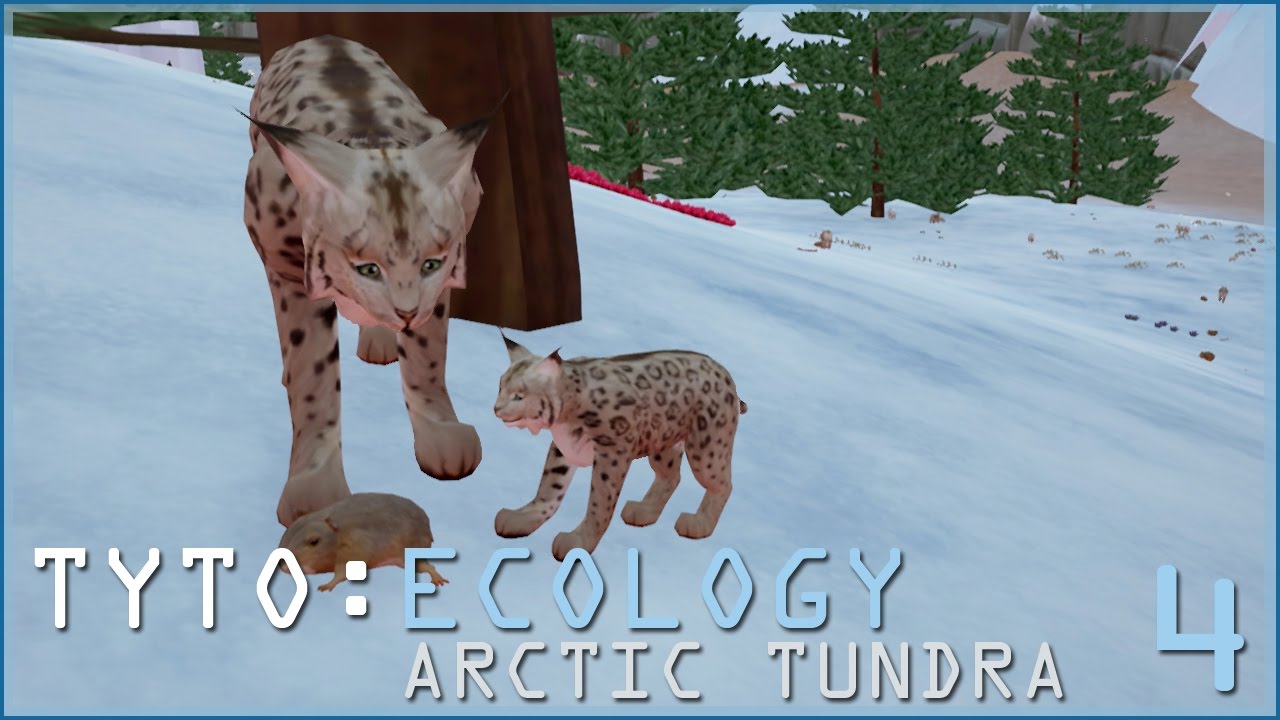 The Struggle of Hungry Kits!! • TYTO: ECOLOGY: ARCTIC TUNDRA - Episode ...