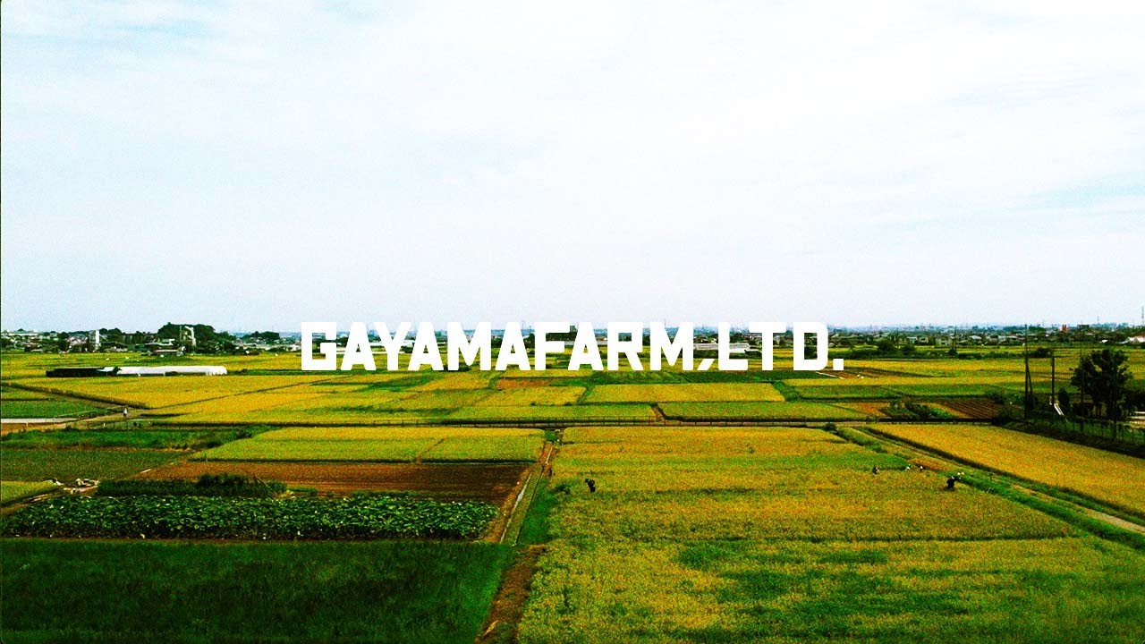 ガヤマファームPV Introduction of GAYAMA FARM LTD. - YouTube
