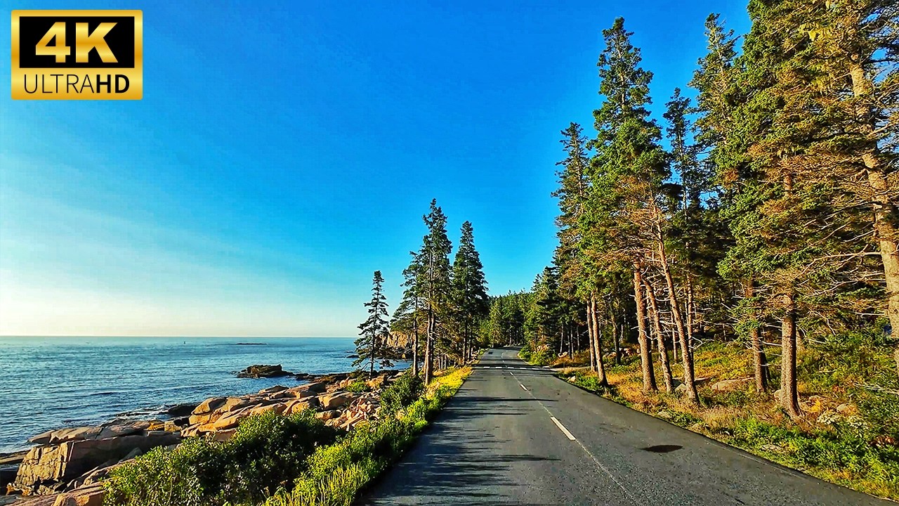 We Drove Acadia's MOST SCENIC Road - 4K Driving Adventure - YouTube