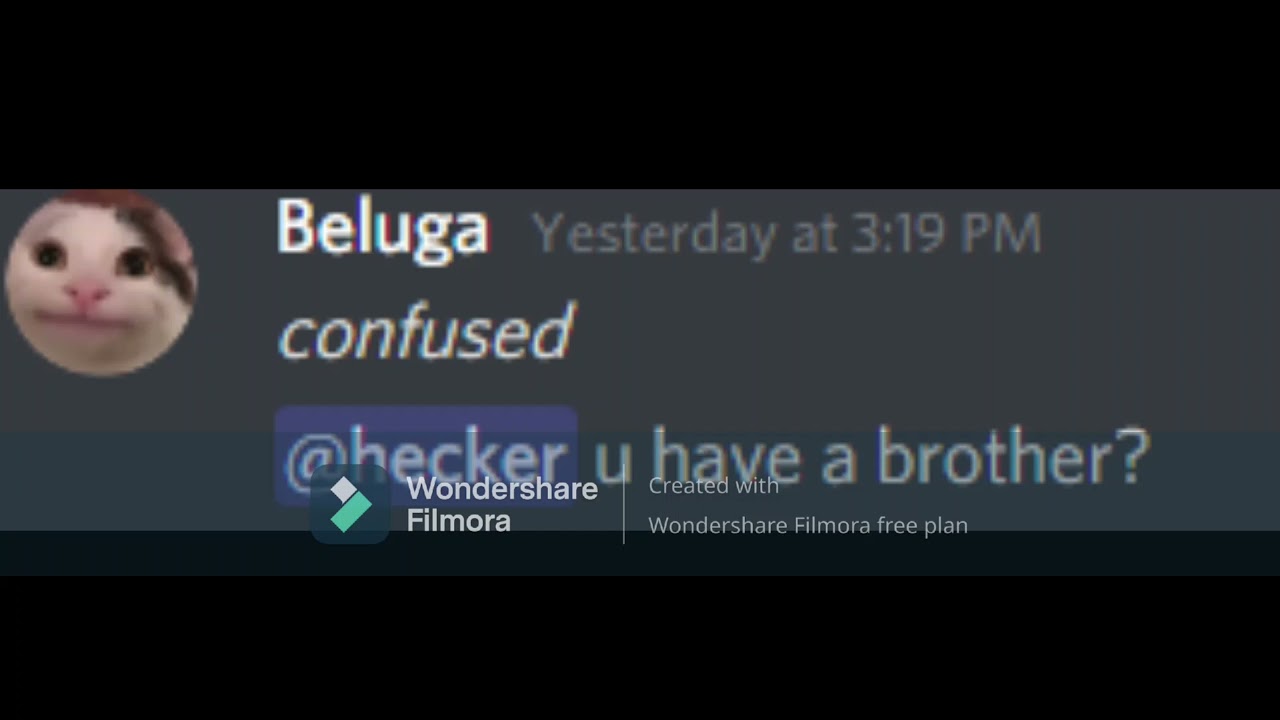When everyone confused that hecker has a brother…….(Beluga) - YouTube
