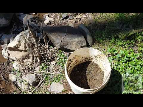 Nundle Gold exploration - YouTube