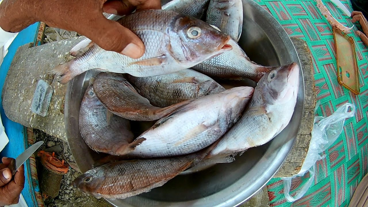 Mulla Fish Cutting | Emperor Fish For Fry | Ibrahim Hyderi - YouTube