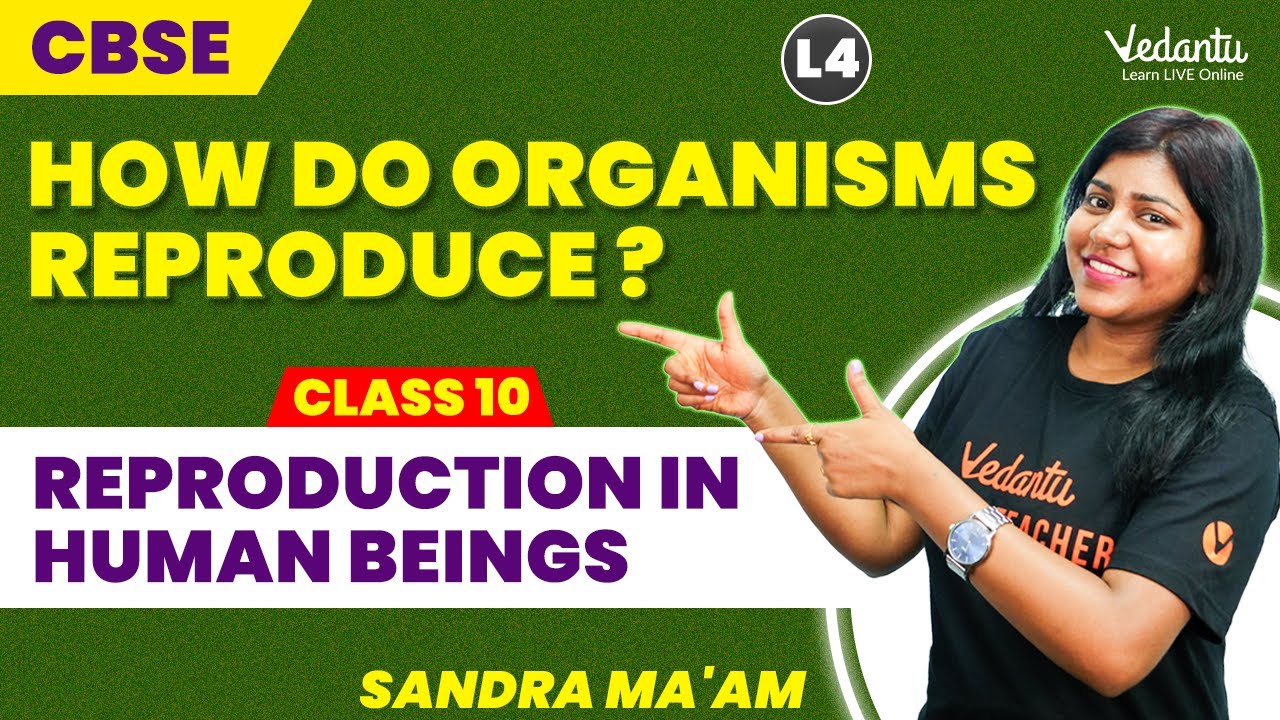 How Do Organism Reproduce L4 | Reproduction in Human Beings | Sandra ma ...