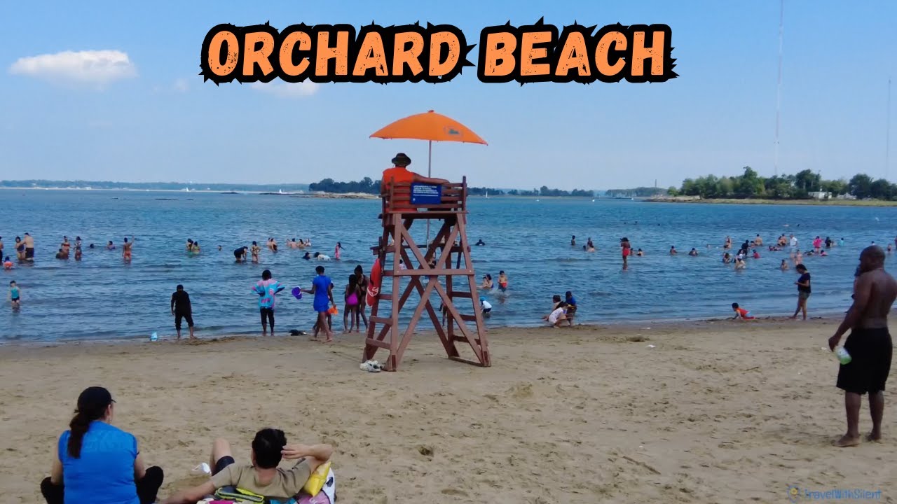 Bronx Beach