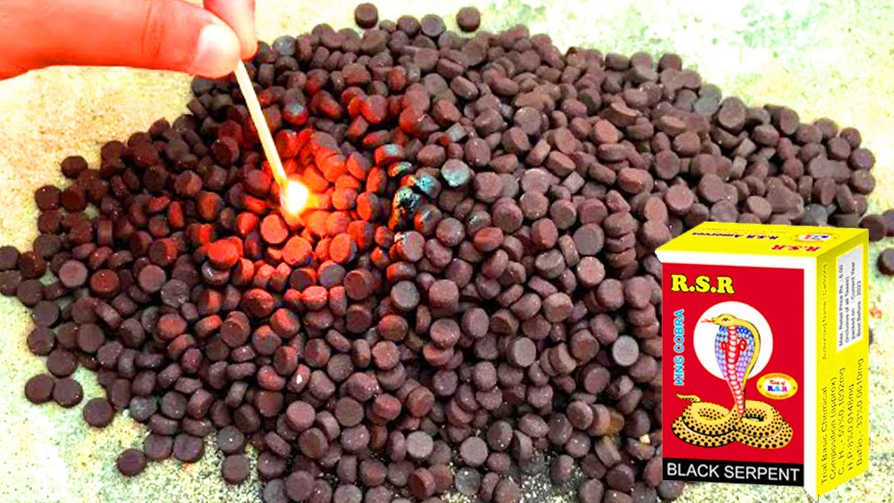 1000 SNAKE BOMB🐍 at Once Fire Diwali Cracker Testing ~ 1000 Black ...