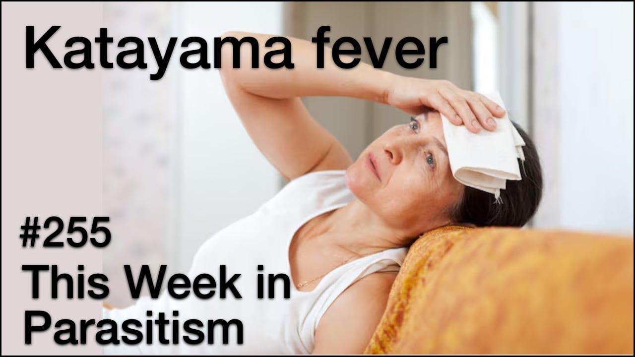 TWiP 255: Katayama fever - YouTube