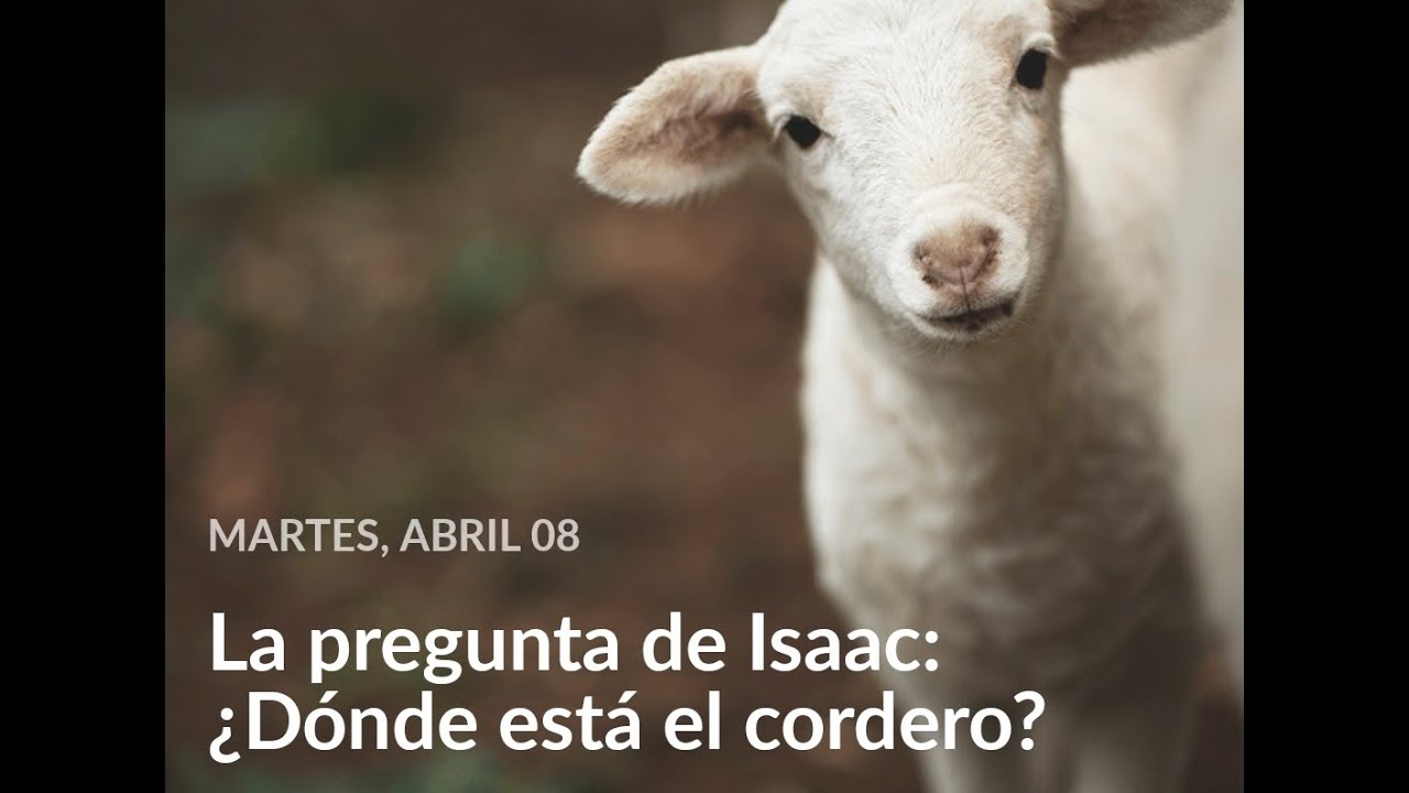 Martes/ Lección/ LA PREGUNTA DE ISAAC: ¿DÓNDE ESTA EL CORDERO? - YouTube