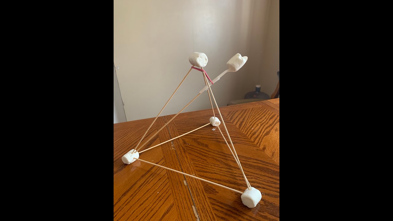 Newton's 2nd Law of Motion- Flying Marshmallow Activity - YouTube