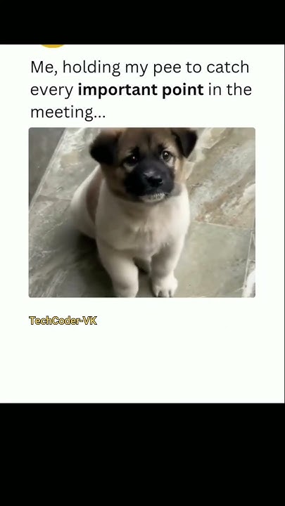 😁🤭programming Coding Webdevelopment Project C Javascript Funny