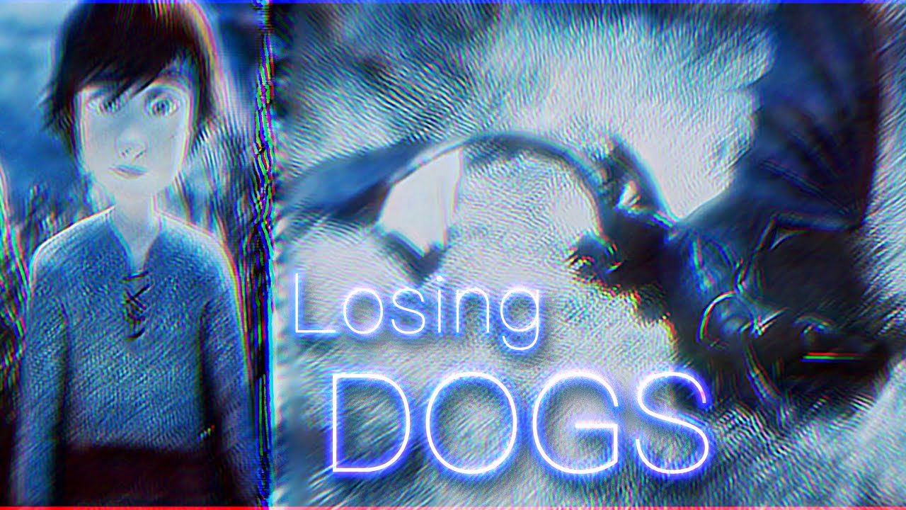 LOSING DOGS - YouTube