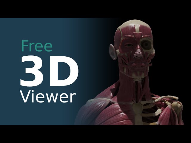 Free 3d Anatomy