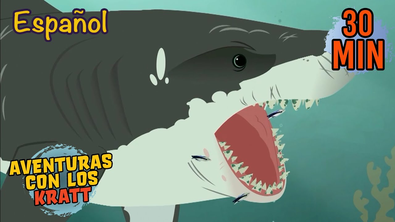 DIENTES FILOSOS | Día Internacional del Tiburón! | Aventuras con los ...