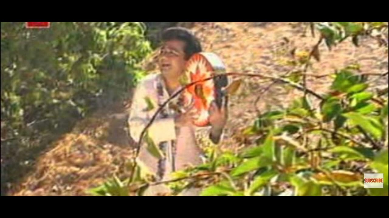 Lal dupatta malmal ka | Veverly Wheeler | Rishi Kapoor | @rising8467 ...