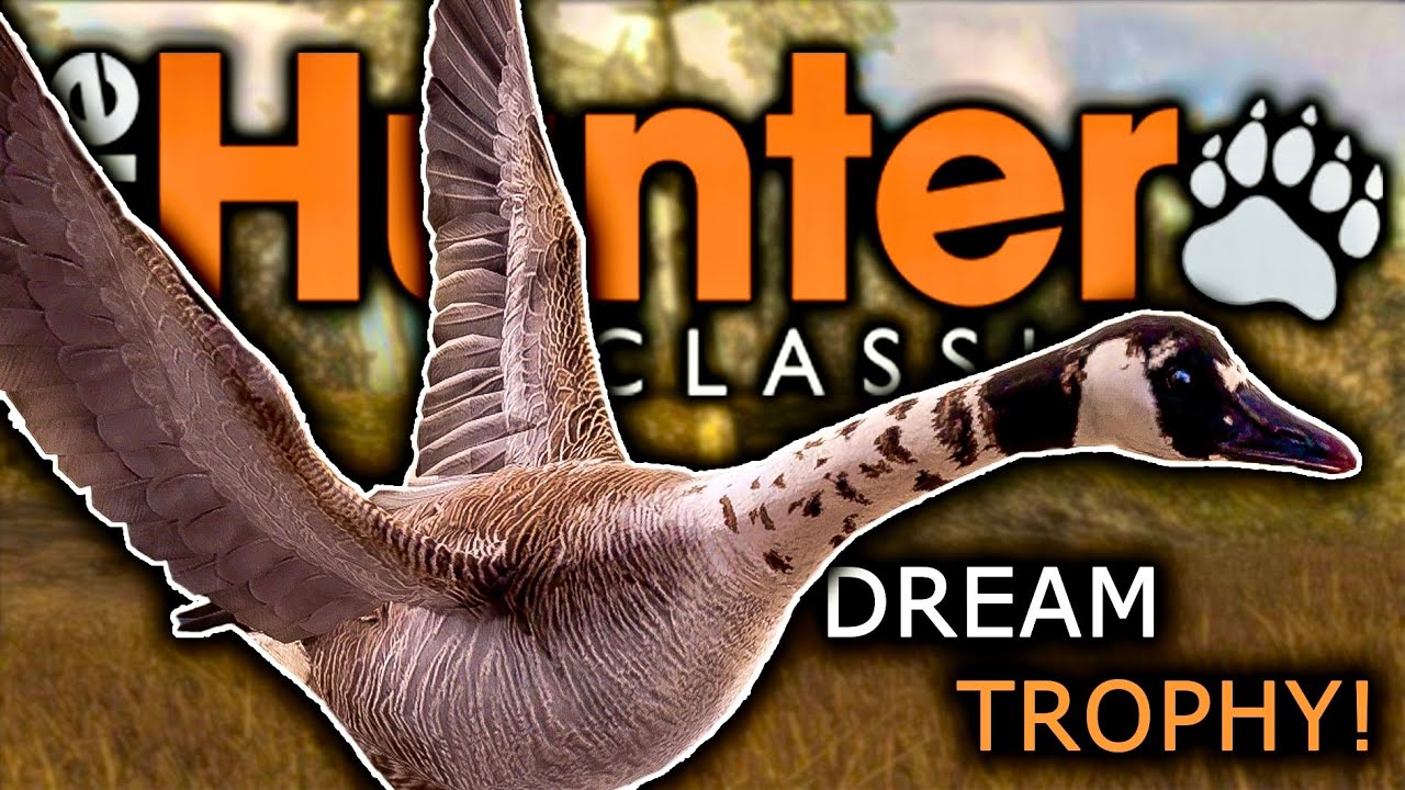 TROPHIES AND RARES IN THE HUNTER CLASSIC! A MELANISTIC HEN PHEASANT, A ...