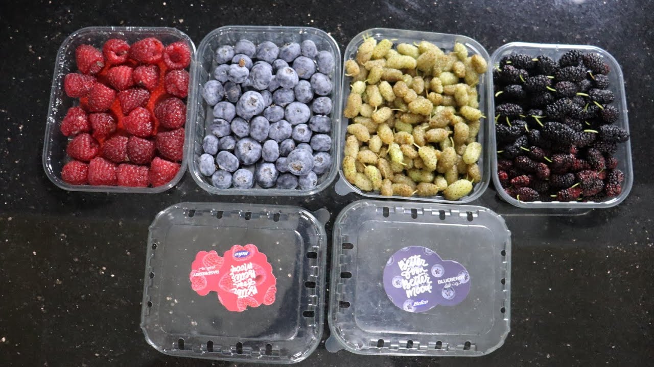 جميع أنواع التوت الي موجوده في العالم 🫐🍇 - YouTube