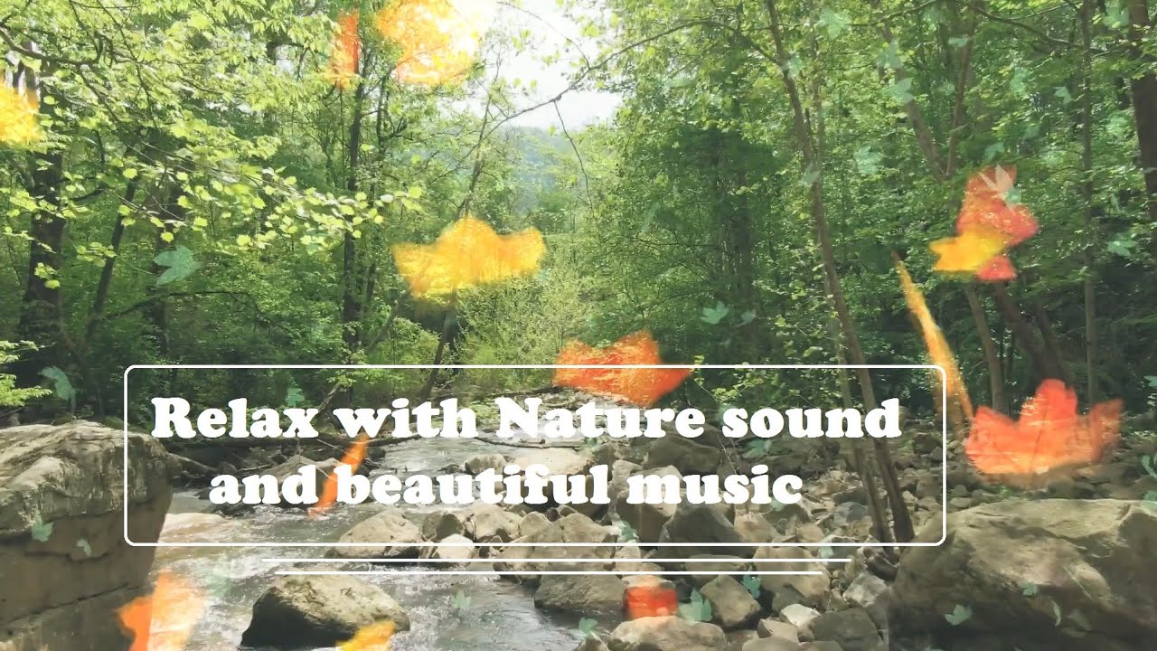 Relax with Nature sound and beautiful music, calm water sound and ...