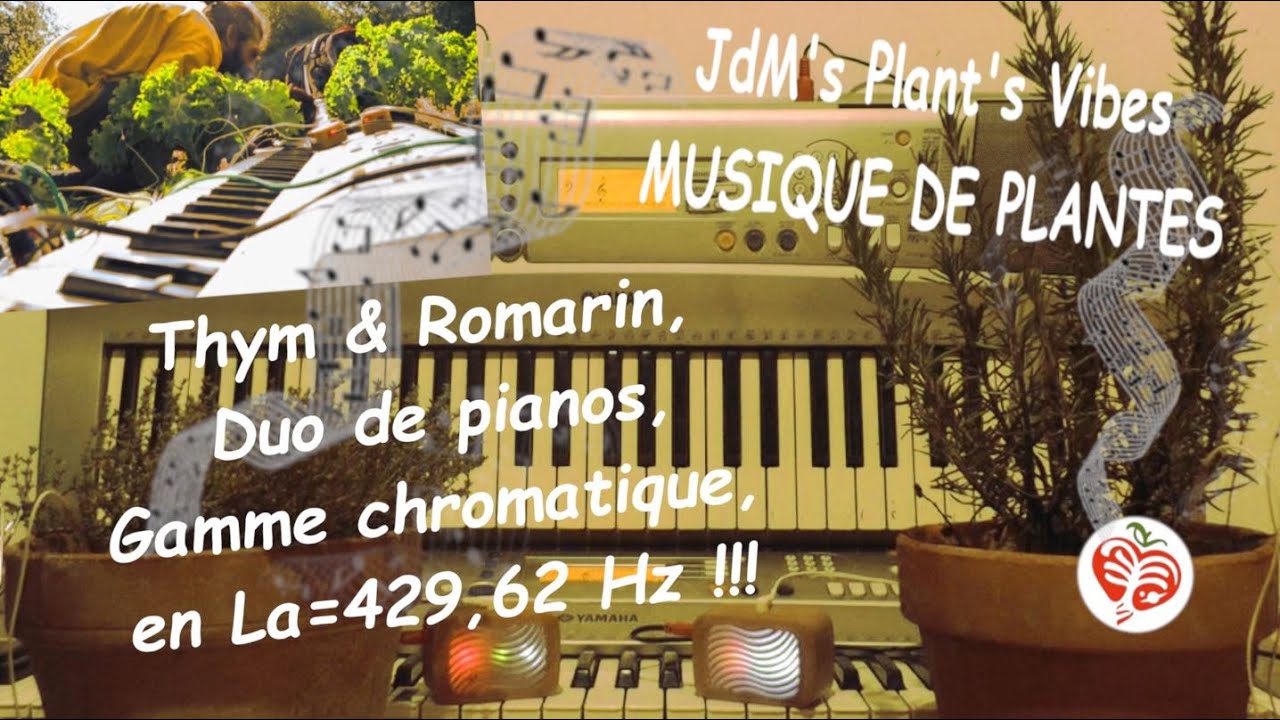 429,62Hz-Thym&Romarin-Duo Pianos-Gamme Chromatique-Musique de plantes ...