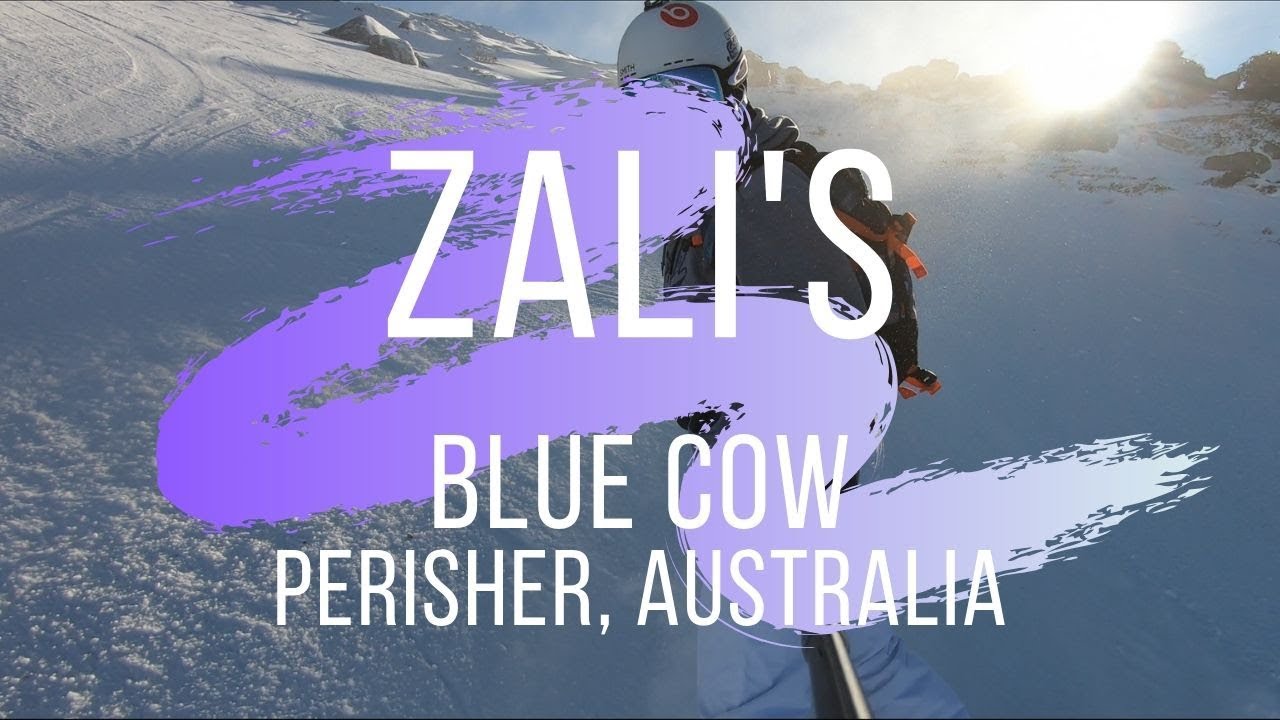 Zali's (Blue Cow) || Perisher, AUSTRALIA - YouTube