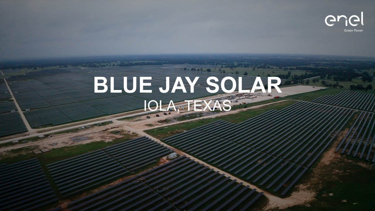 The Story of Blue Jay Solar - YouTube