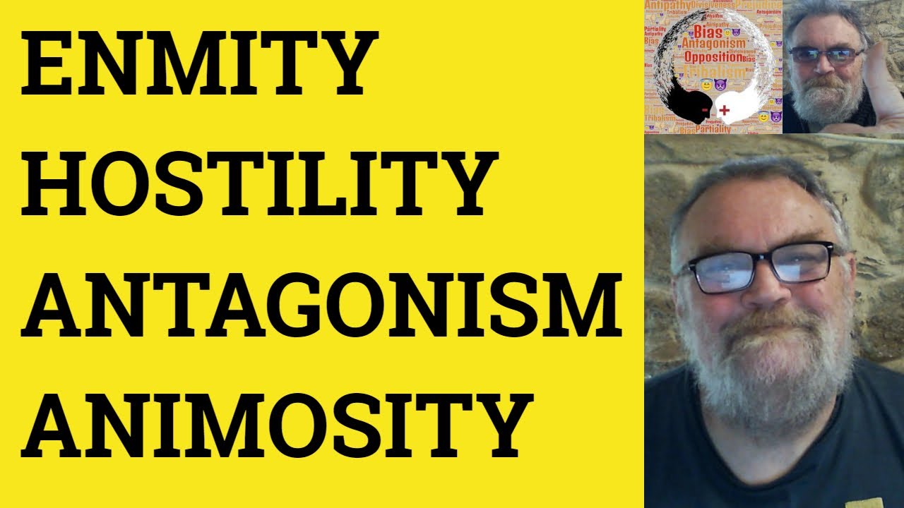 🔵Enmity Meaning - Hostility Defined - Animosity - Antagonism - Enmity ...