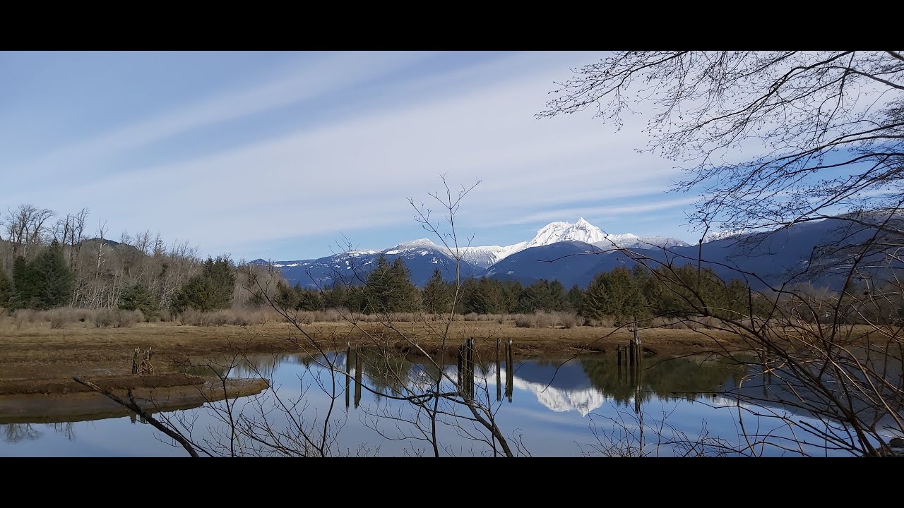 Brackendale Eagles Provincial Park | Squamish, BC - YouTube