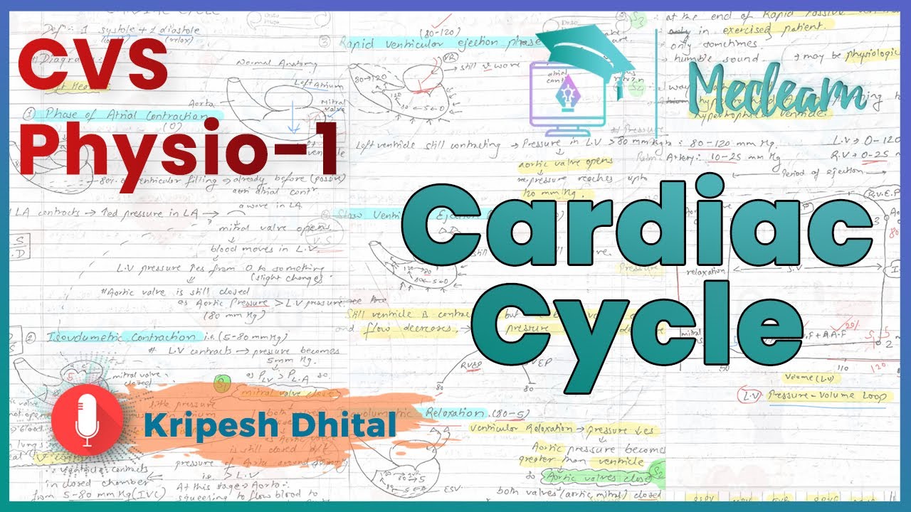 CVS Physio: Cardiac Cycle || Phases, Wiggers Diagram, PV Loop: All you need to know || Med Learn ...