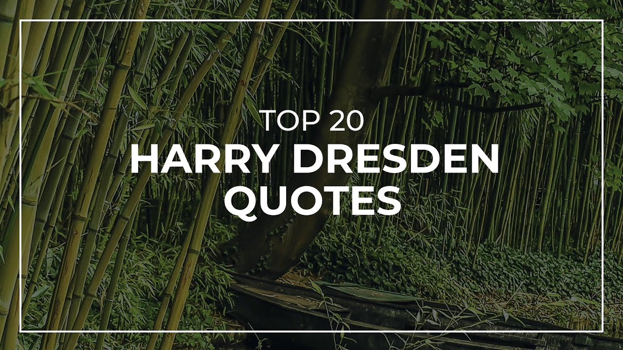 TOP 20 Harry Dresden Quotes | Beautiful Quotes | Quotes for You - YouTube