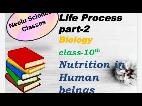 nutrition in human beings class 10 Science CBSE Biology Life Process ...