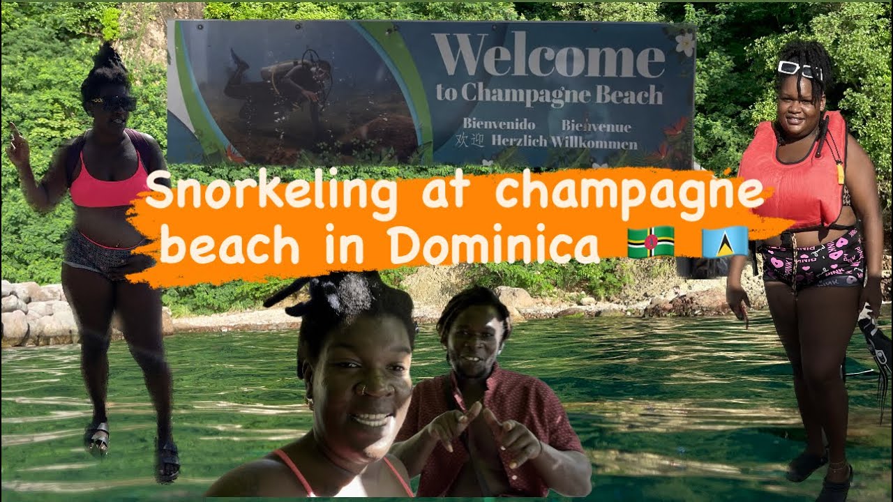 Snorkeling at champagne beach Dominica 🇩🇲 - YouTube