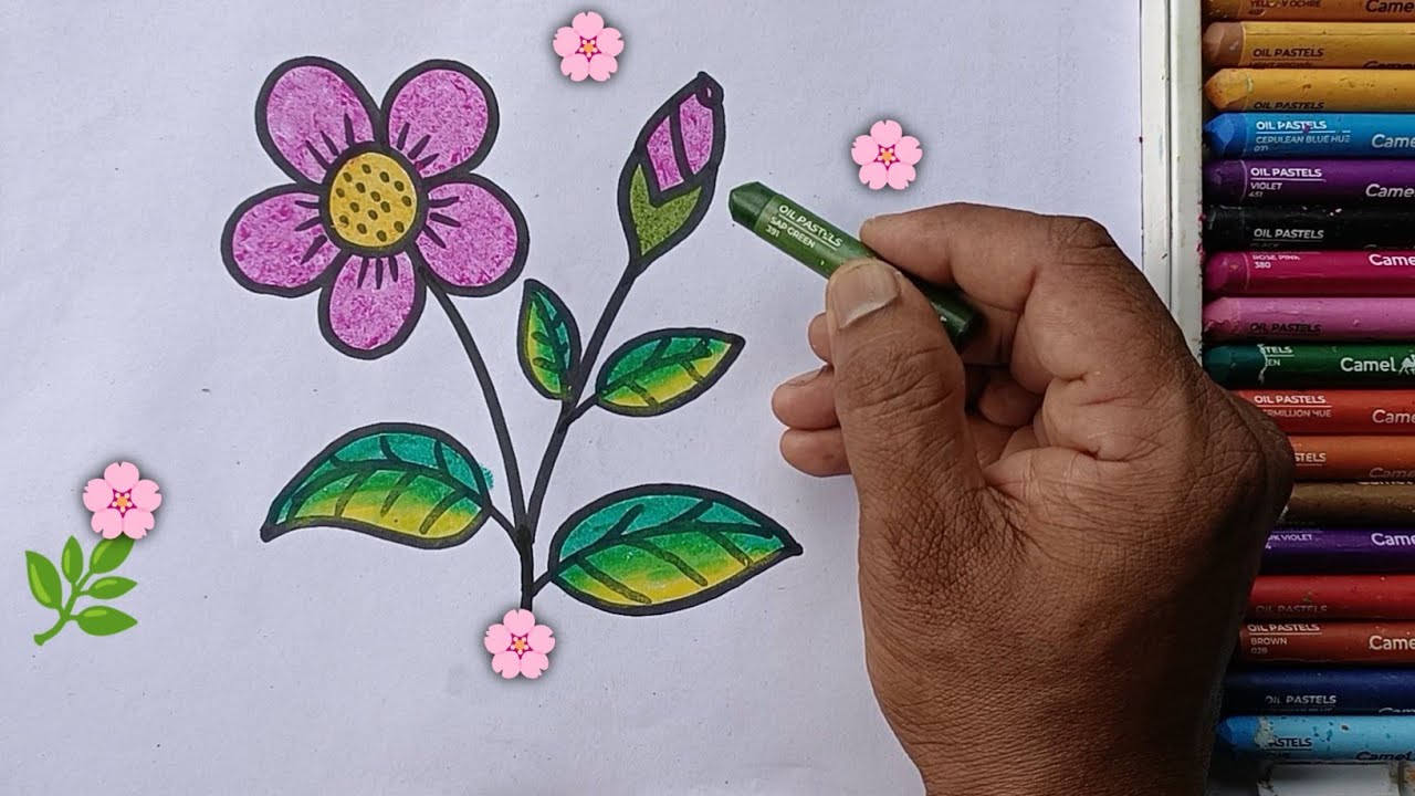 How to Draw a Flower Step by Step | Flower Drawing Lesson | How to Draw ...