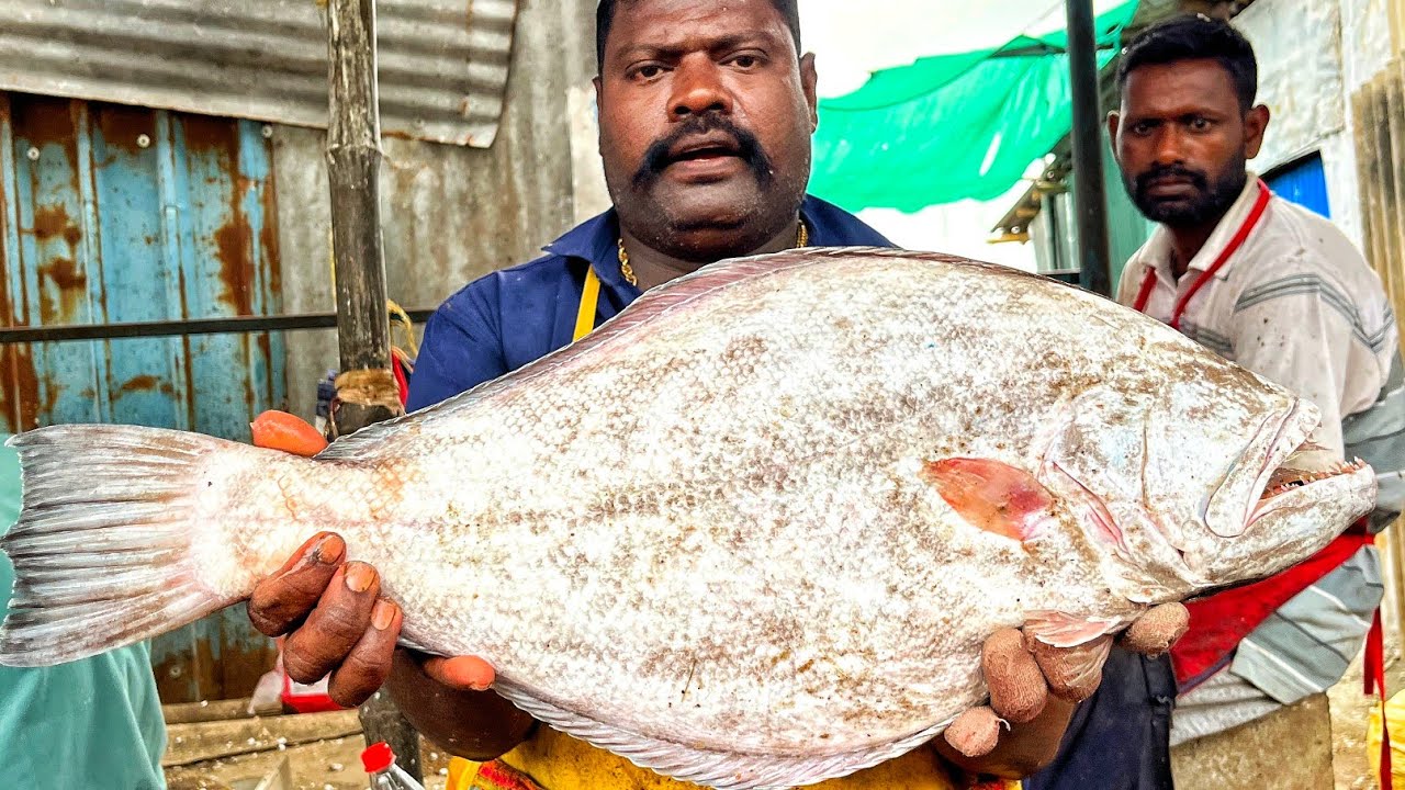 KASIMEDU 🔥 SPEED SELVAM | HUGE SOLE NAKKU FISH CUTTING VIDEO | 4K VIDEO ...