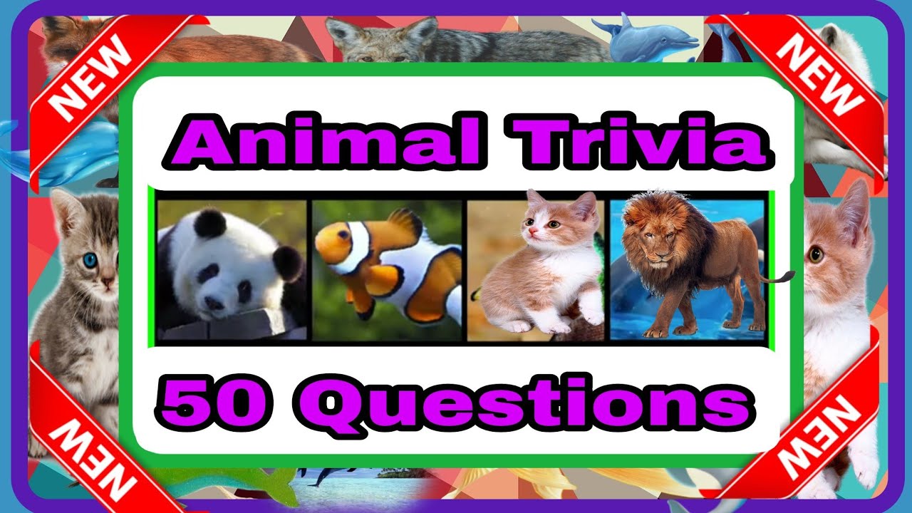 Animal Trivia Questions and Answers! - YouTube