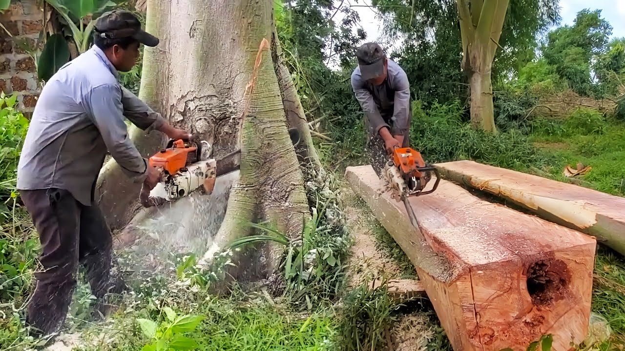 Sharpening Skill Felling Down Heavy Tree! Amazing Woodworking Design ...