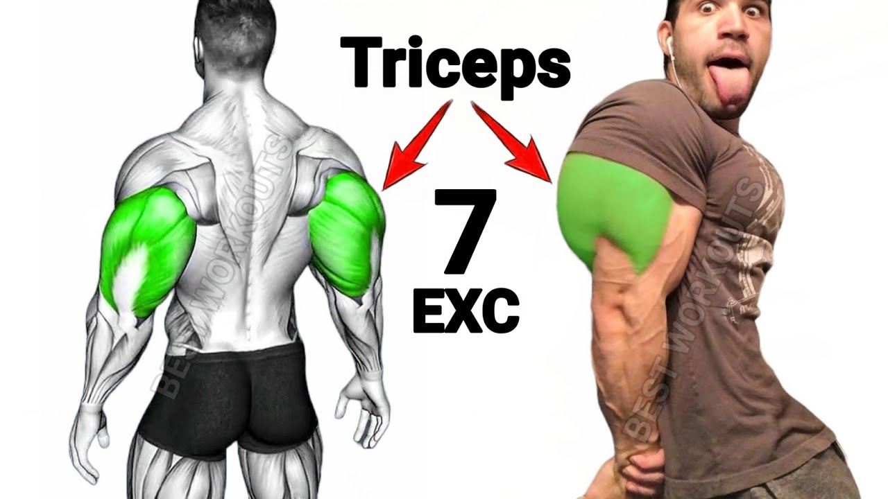 7 Best Best Exercises to Get Big Triceps - Triceps Workout - YouTube