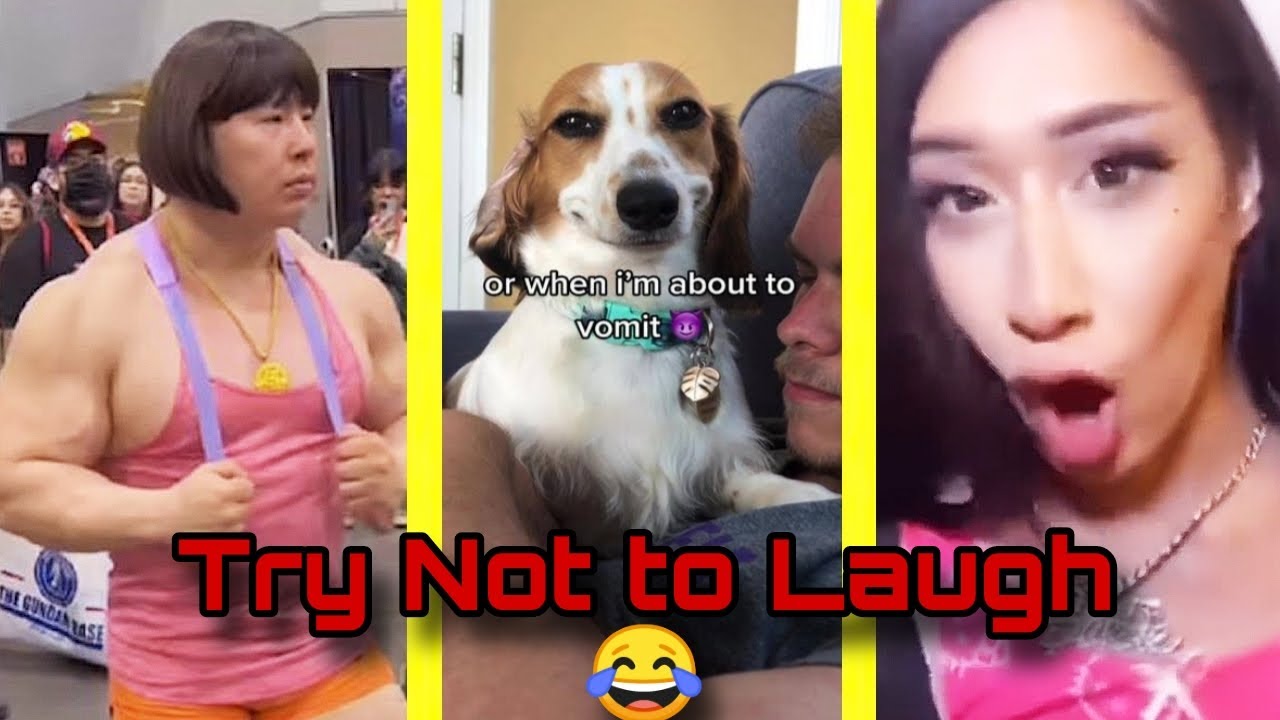 Try not to Laugh 😂 challenge| Best funny video completion 😂| Level ...