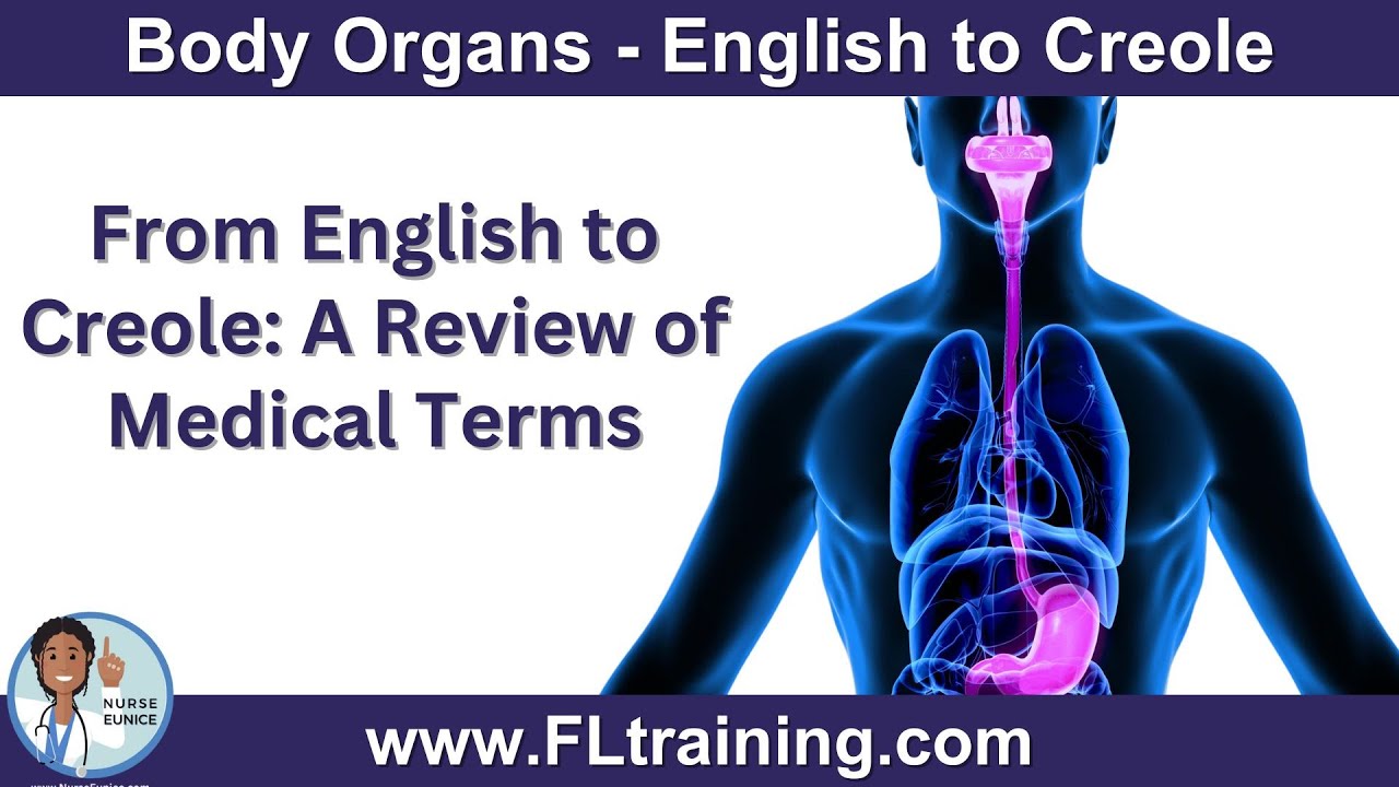 Body Organs Translated from English to Haitian Creole 🧠🫀🦴 - YouTube
