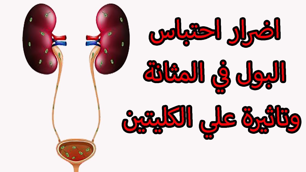 اضرار حبس البول في المثانة وتاثيرة علي الكلي Youtube