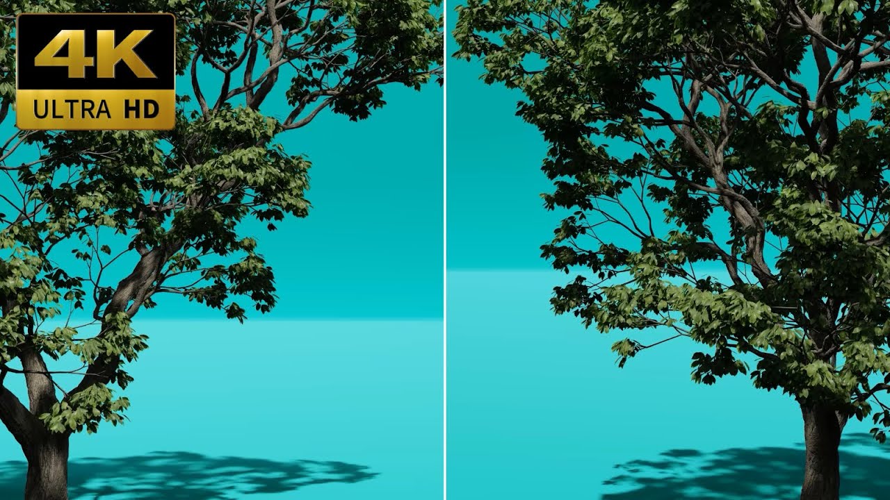 006 - Green Screen | Chroma Key | Corner Tree 4K - YouTube