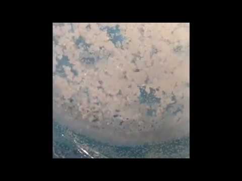Salt crystallization in salt water (time lapse) - YouTube