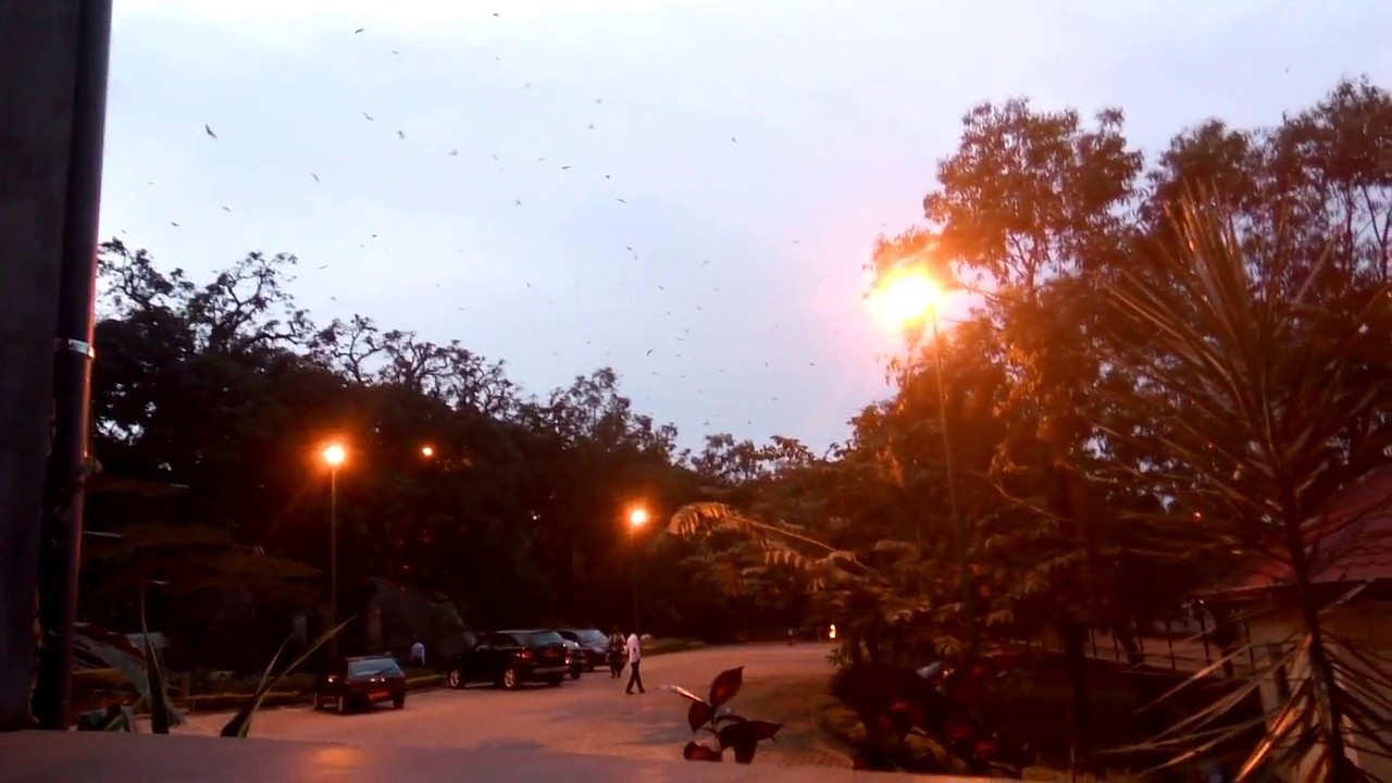 Les Cascades du Mfoundi - YouTube