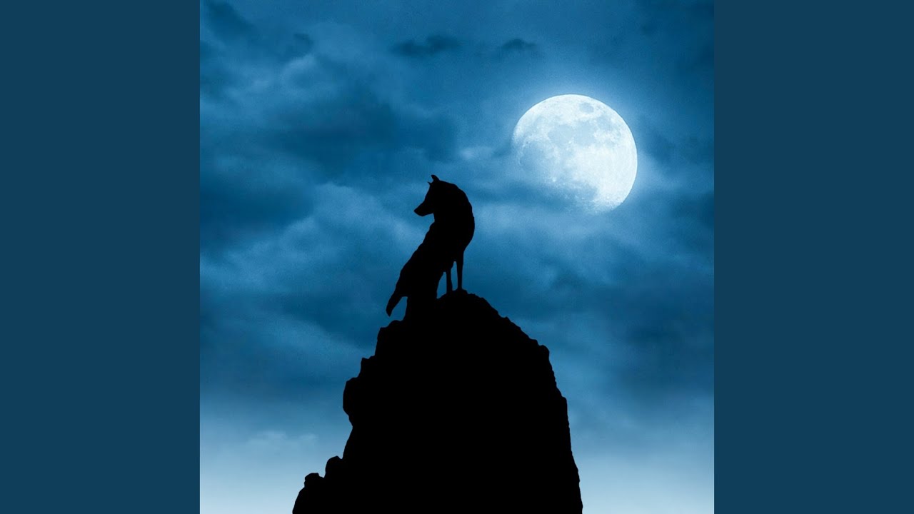 Howling wolves at night - YouTube