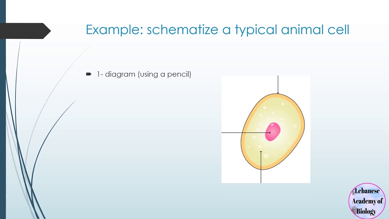 how to Schematize -All grades - YouTube