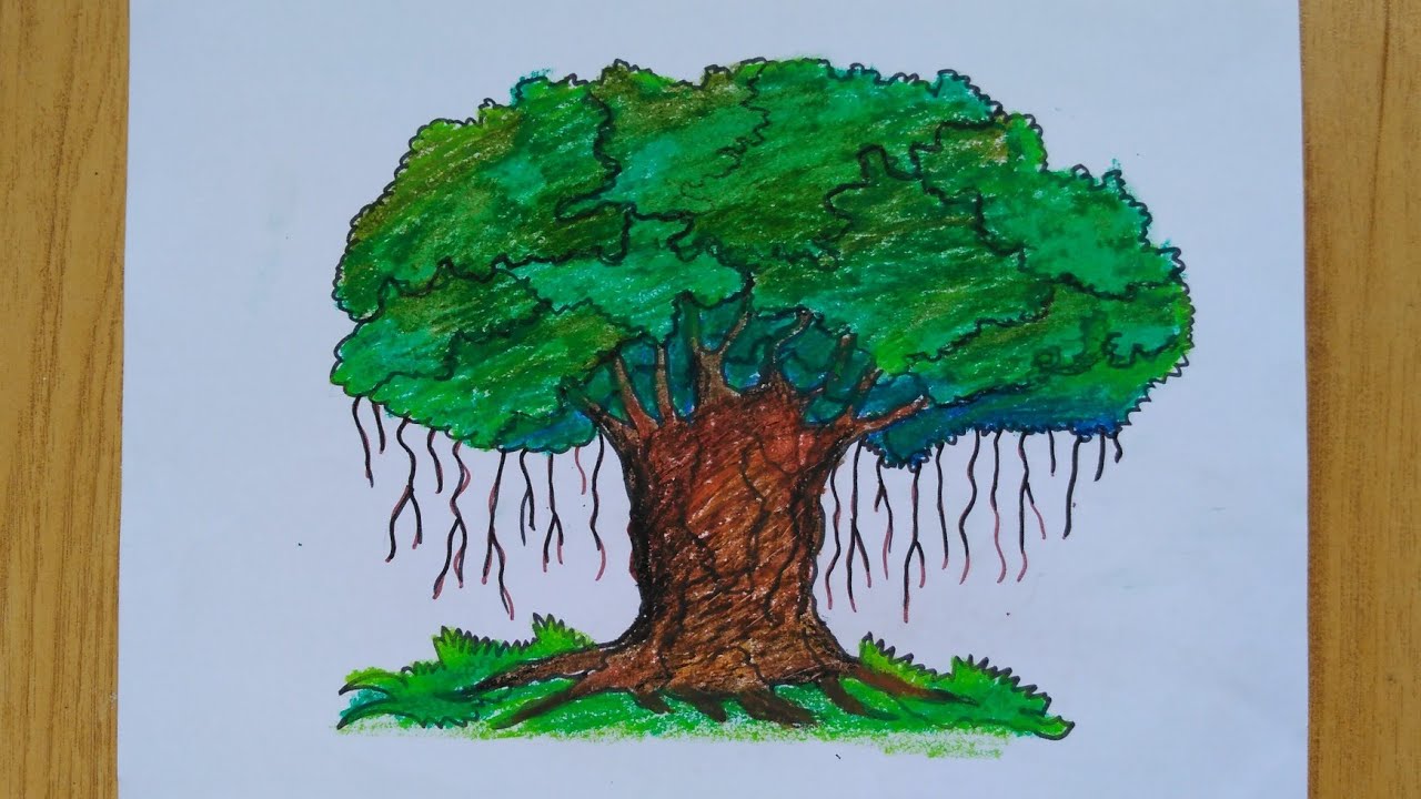 How To Draw Banyan Tree Easy Banyan Tree Drawing Vadache Zad How To Draw Banyan Tree Easy Banyan Tree Drawing Vadache Zad
