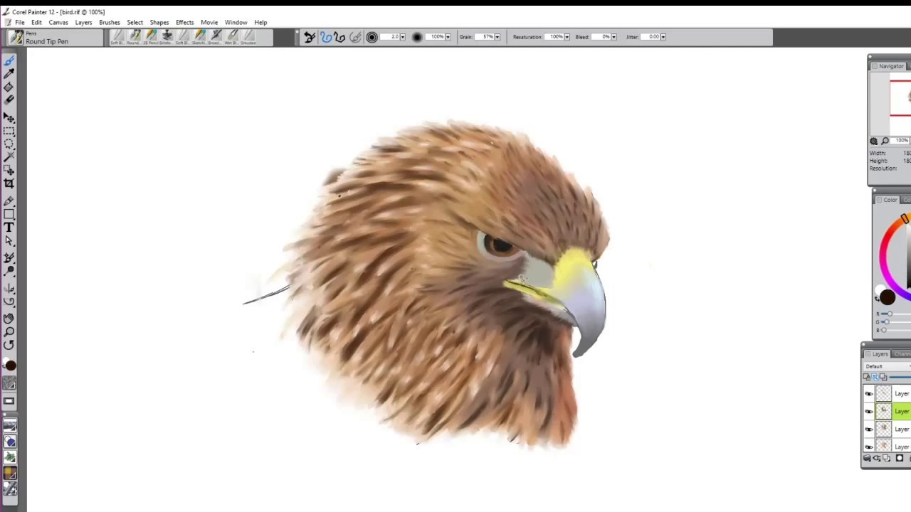 Hawk digital art part 1 - YouTube