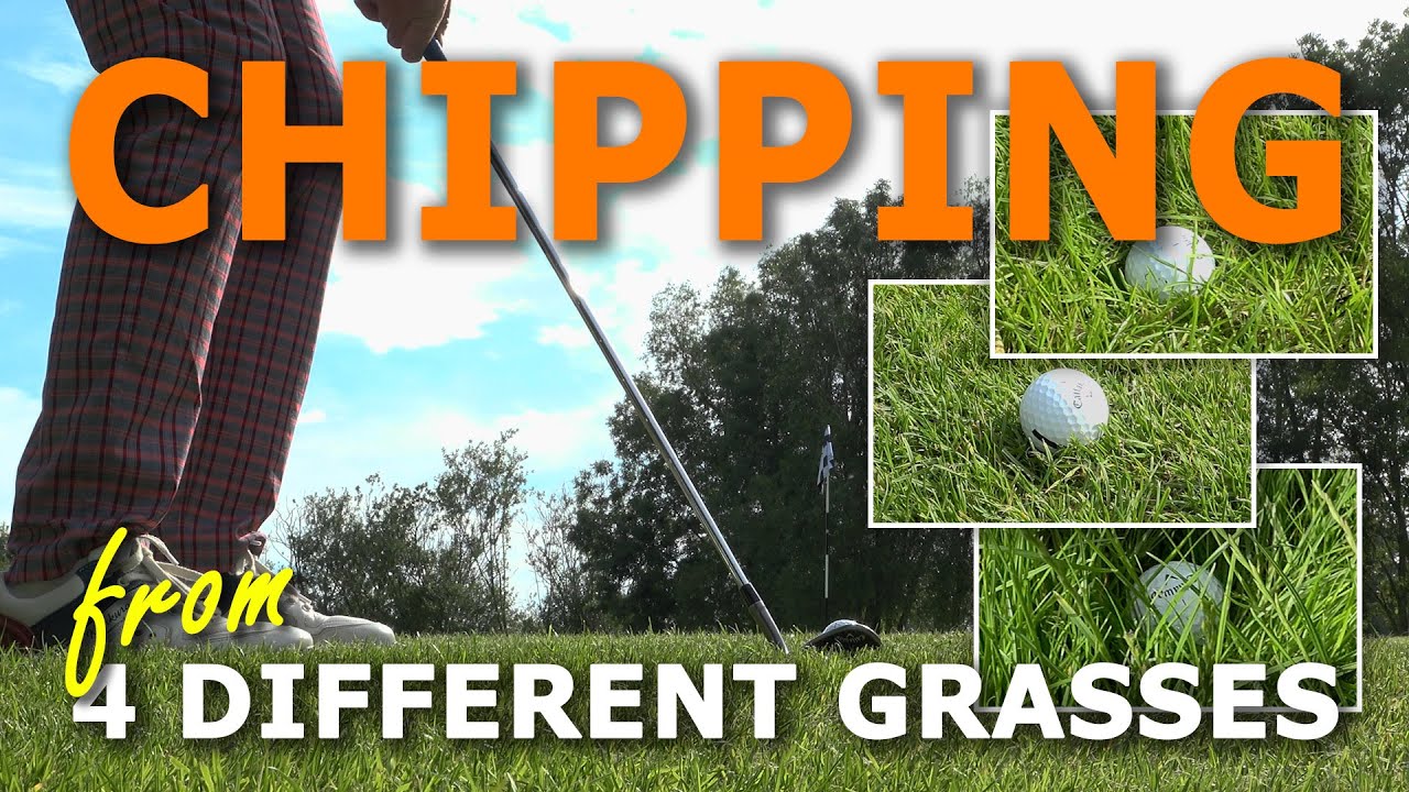 How to chip from different lenghts of grass? Fringe, First cut, Rough ...