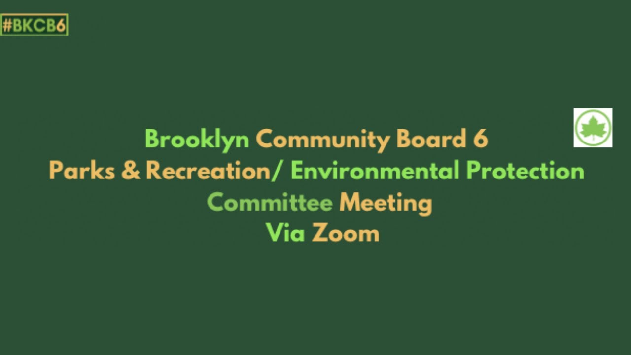 May 19, 2021 Brooklyn Community Board 6 Parks Committee Meeting - YouTube