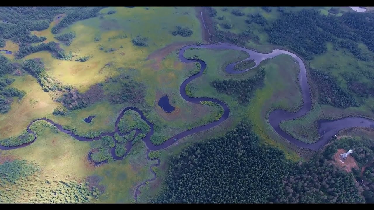 [Drone watch China]Flying over the Damp River Wetland - YouTube