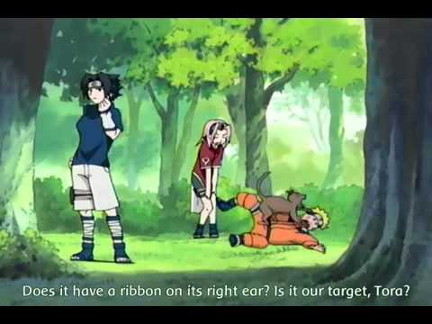 Naruto Getting Attacked my A Cat!. - YouTube