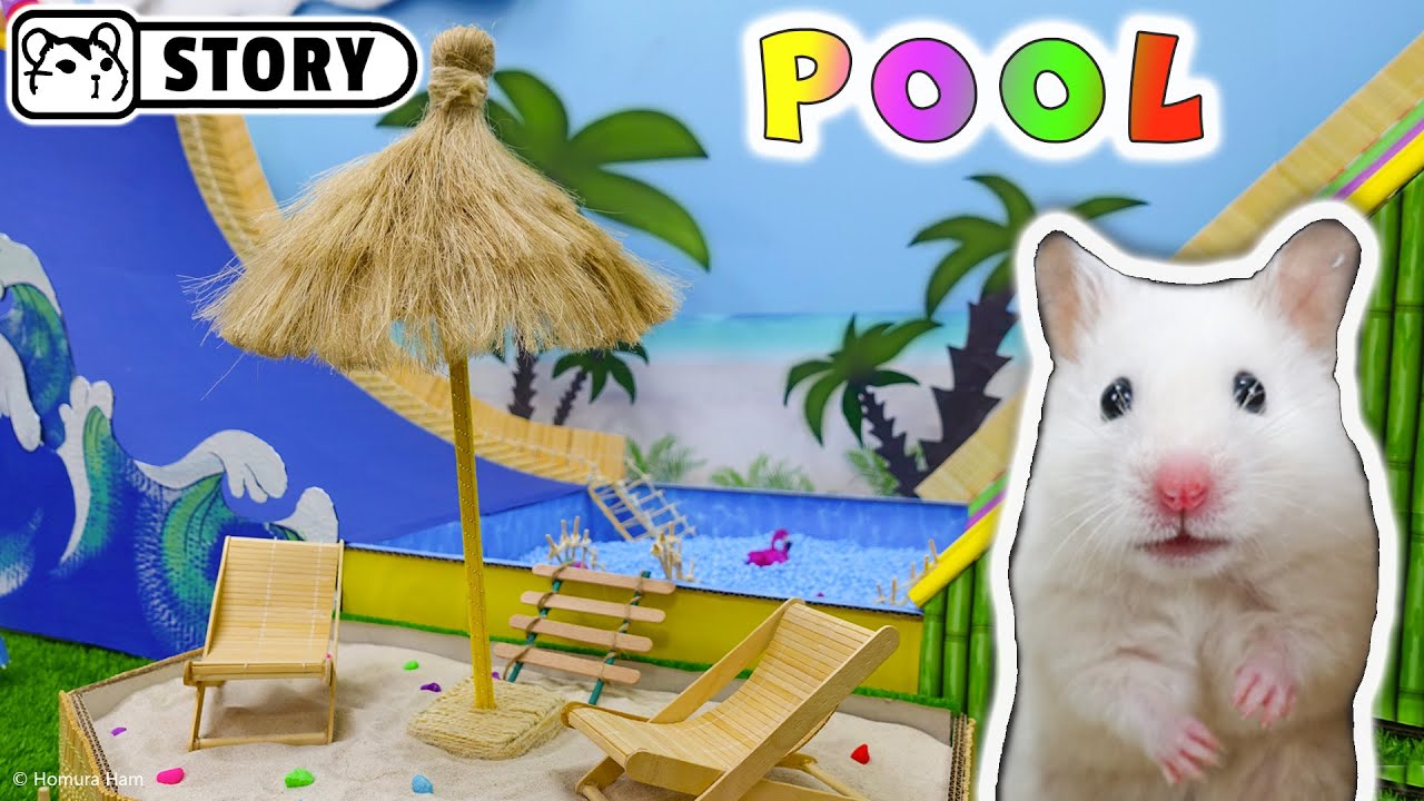 Pool Maze for Hamster 🌴 Waterpark for hamster 🌴 Homura Ham - YouTube