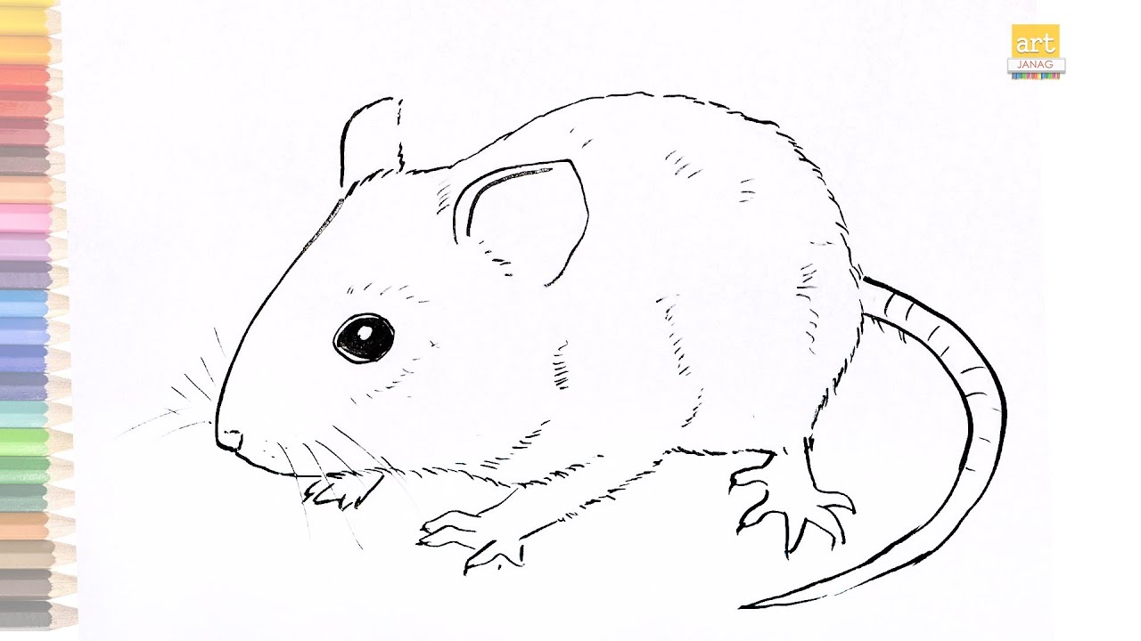Mouse Outline